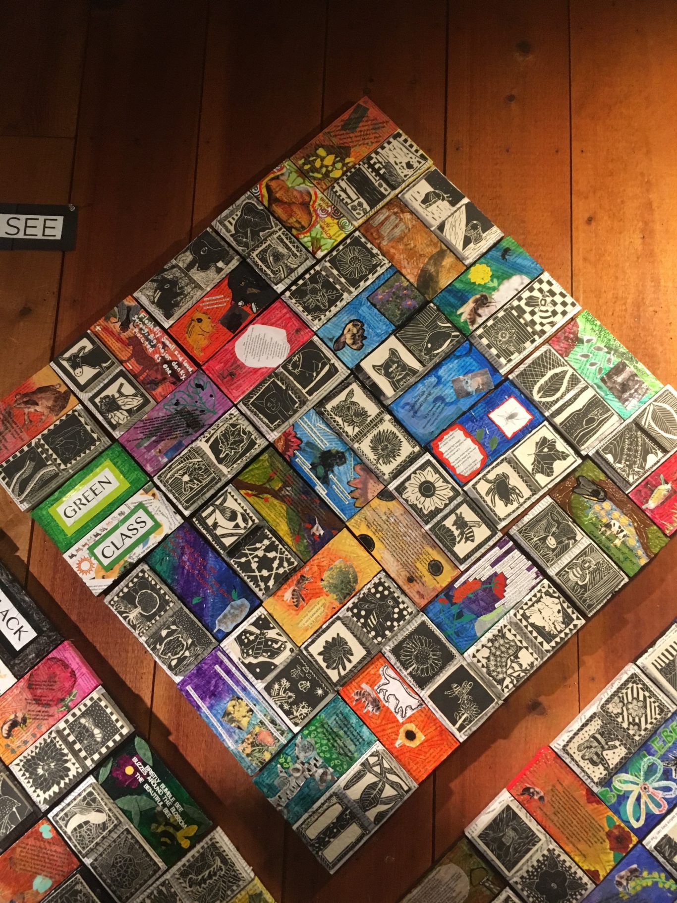 Learning to See - Chewonki