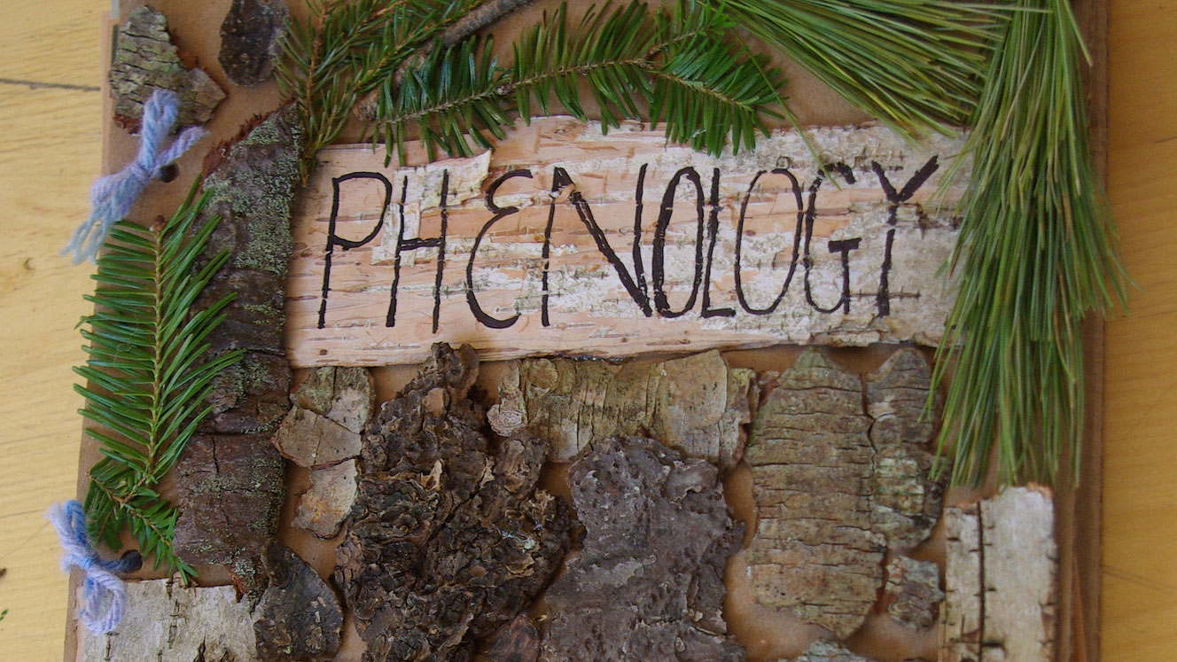 Home Phenology Monitoring Project - Chewonki