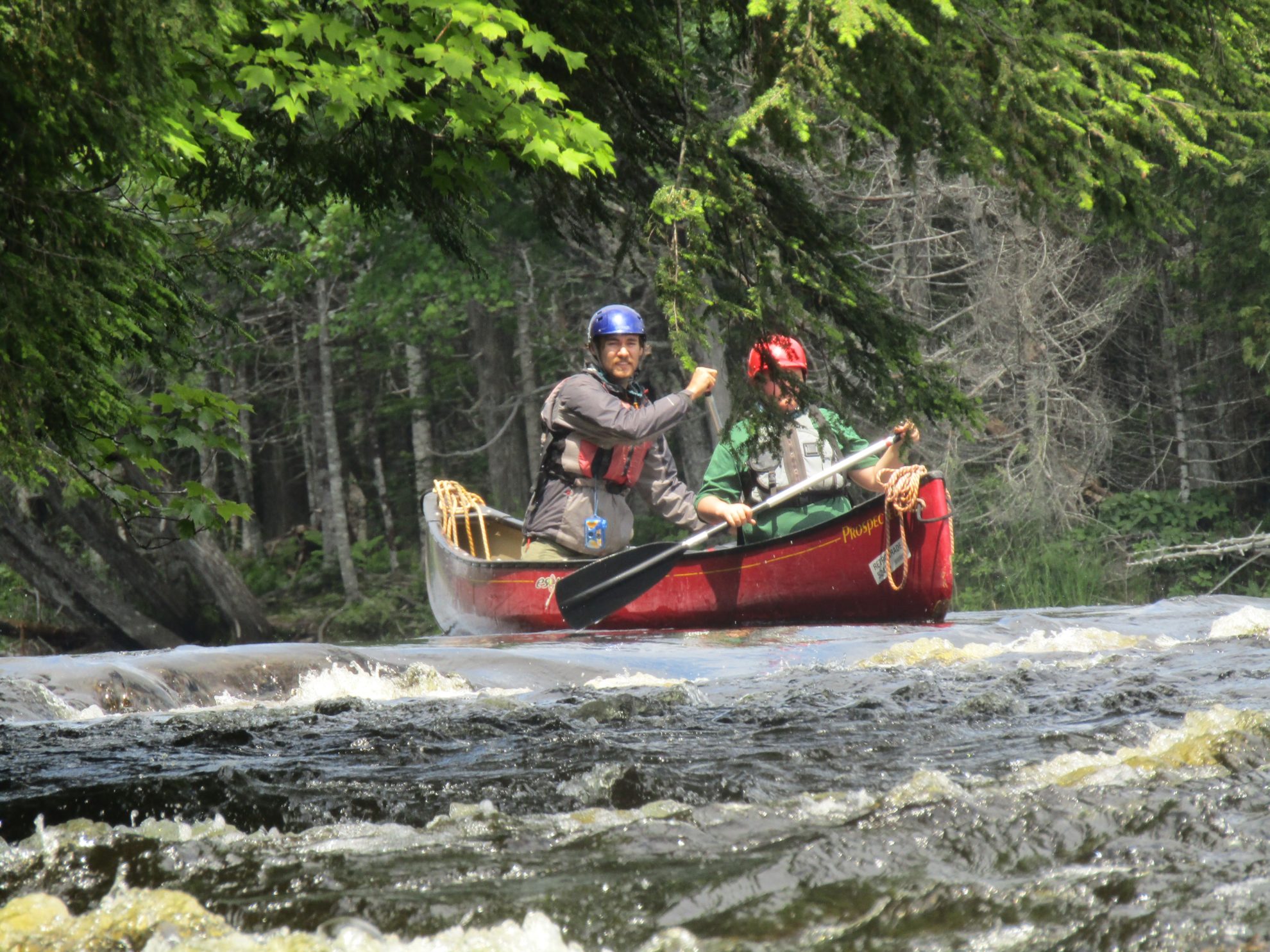 Latest News from Chewonki - Chewonki