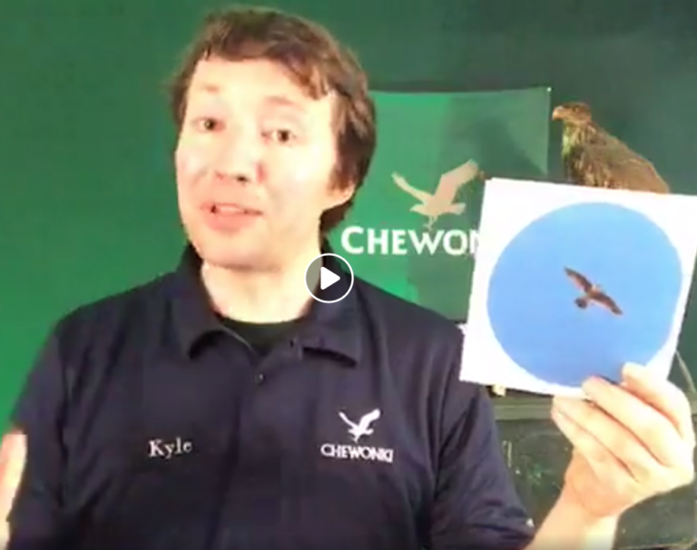 Chewonki@Home - Chewonki