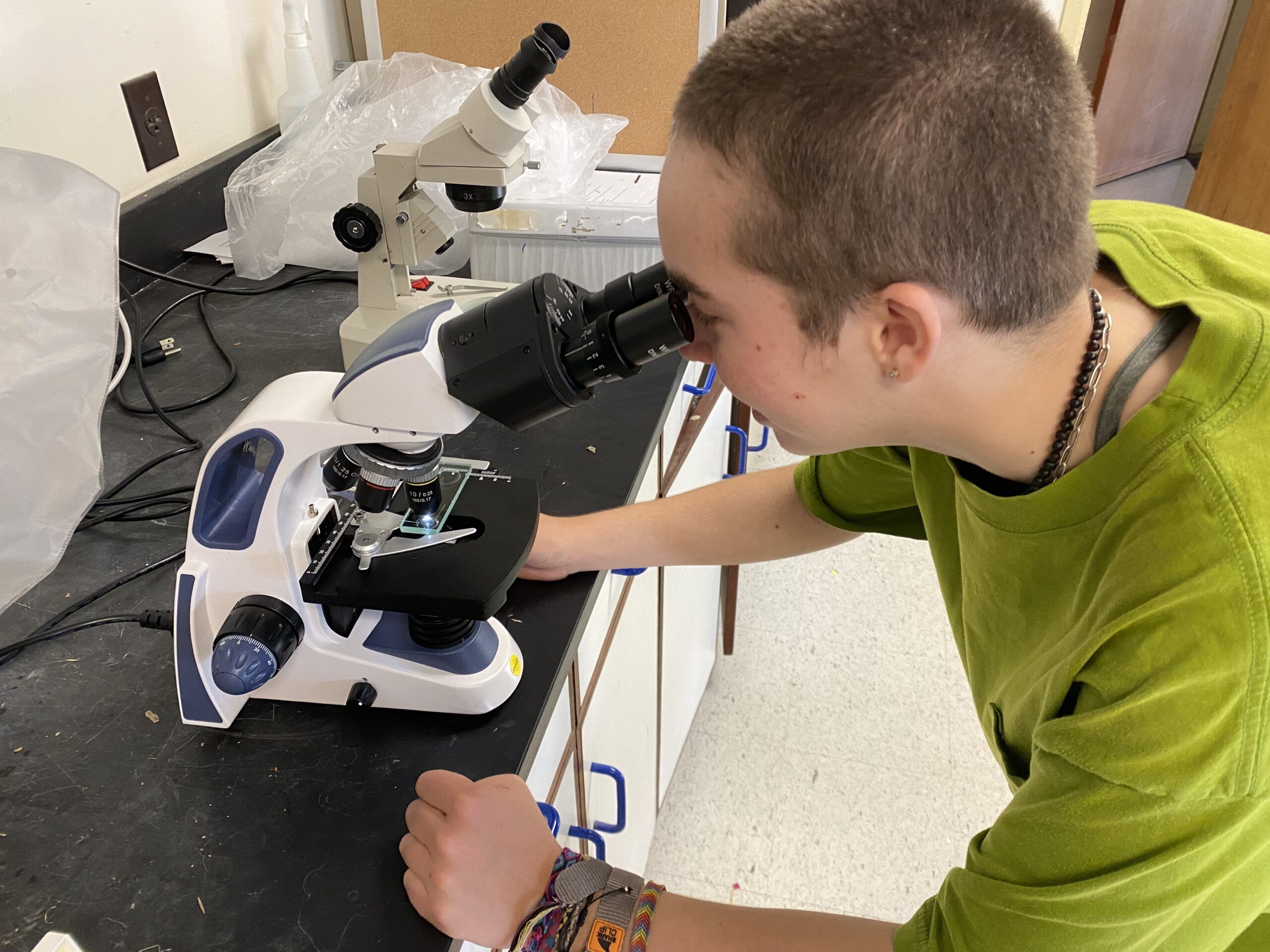 Glass Animals - Chewonki