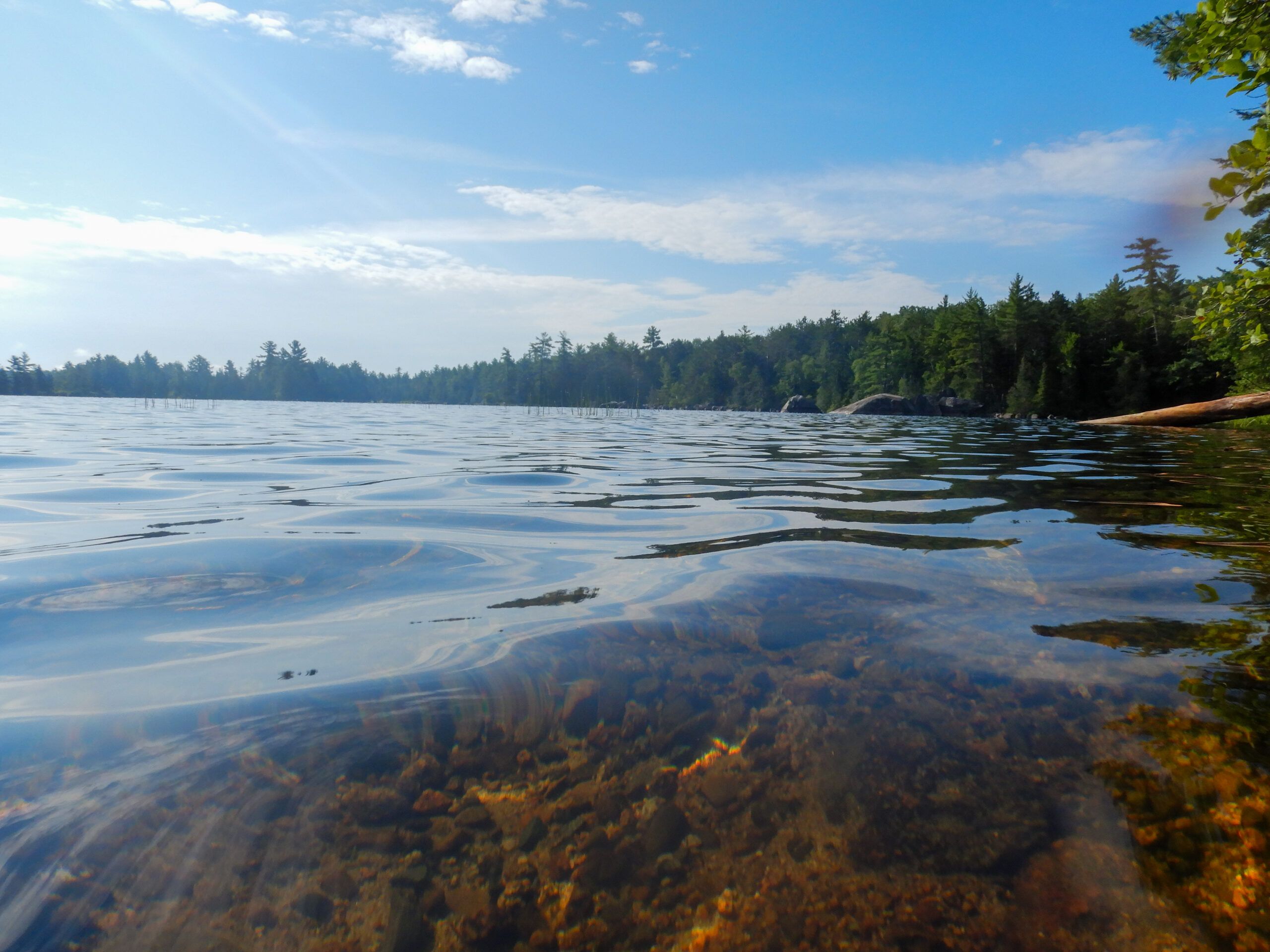 Histories - Chewonki