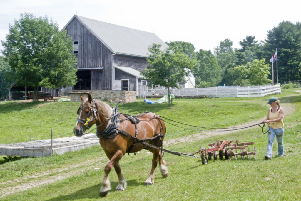 Maine Coast Semester at Chewonki - Tour Chewonki