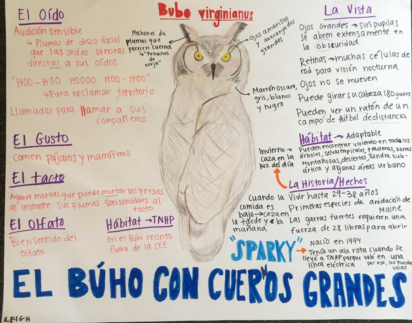 World Languages - Maine Coast Semester