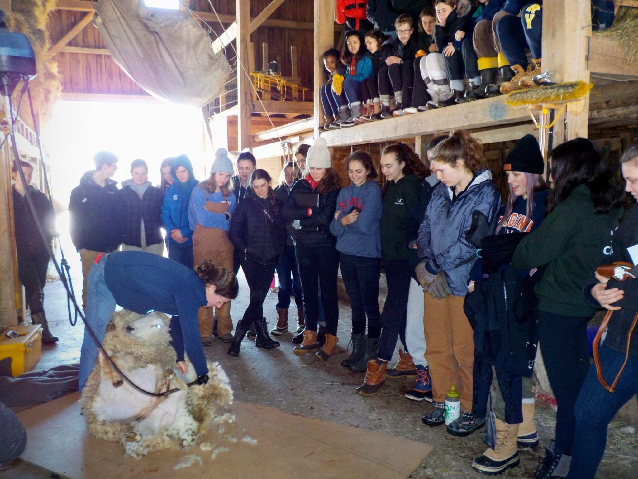 Camp Chewonki – Life-changing learning in nature