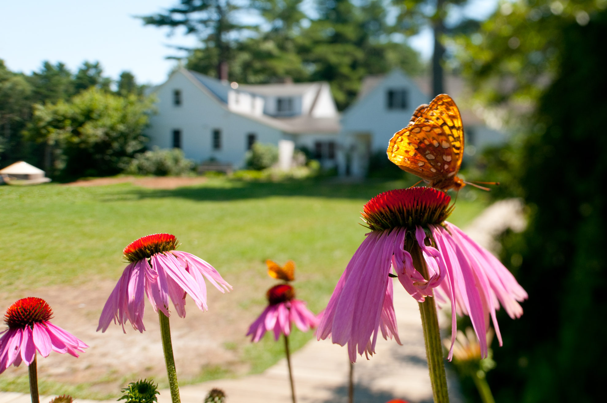 Camp Chewonki – Life-changing learning in nature